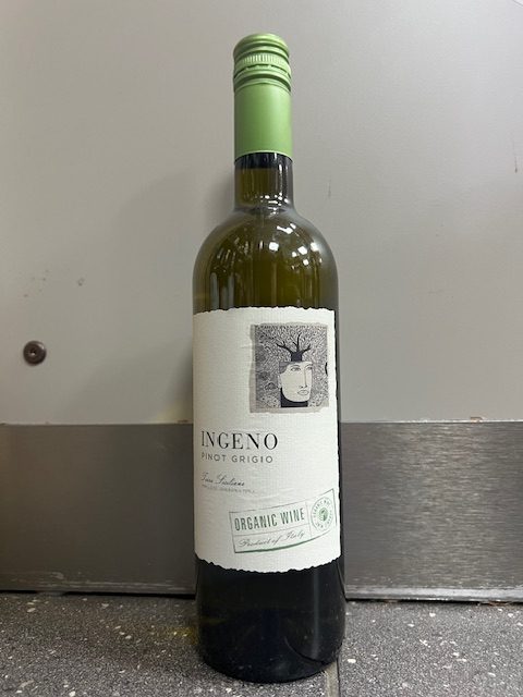 Ingeno Pinot Grigio – Siop Y Pentre